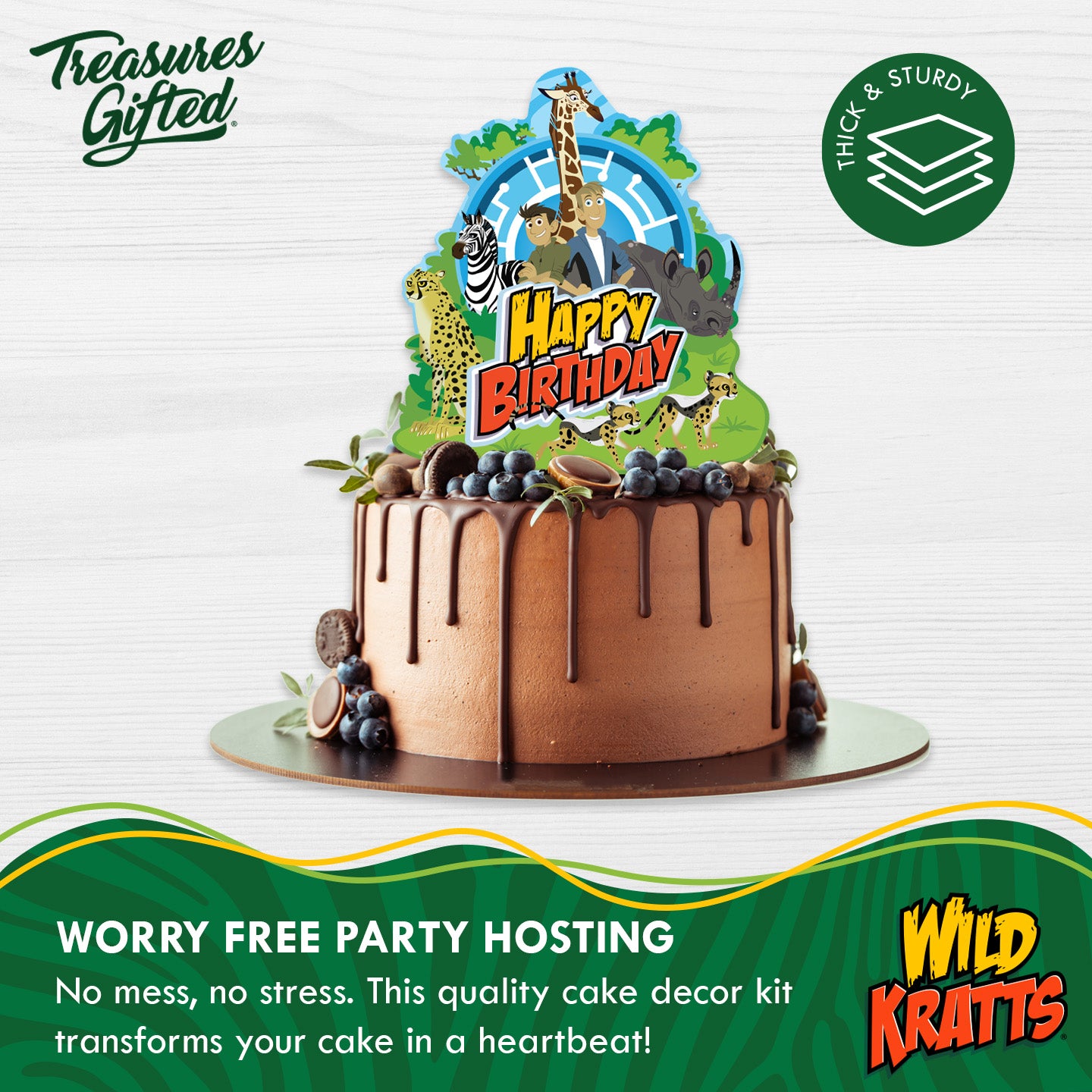 Wild Kratts Party Supplies – Treasures Gifted